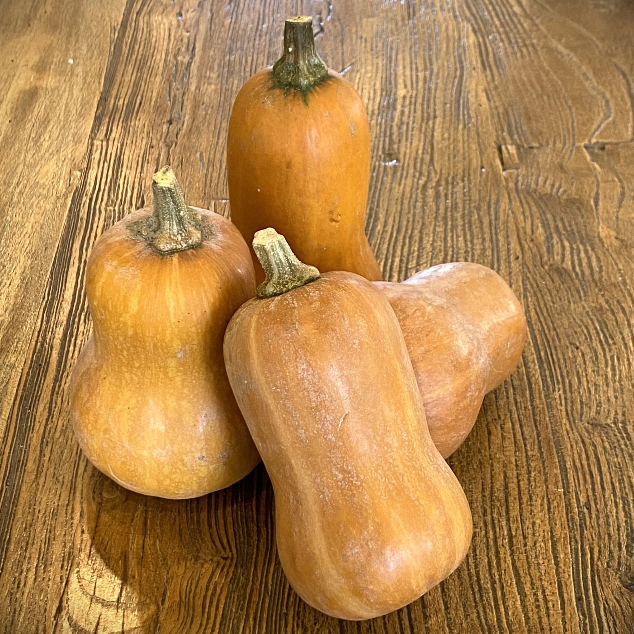 FROZEN___”Honey-Nut Squash” Sourdough- Frozen/Sliced – Delish Kitch